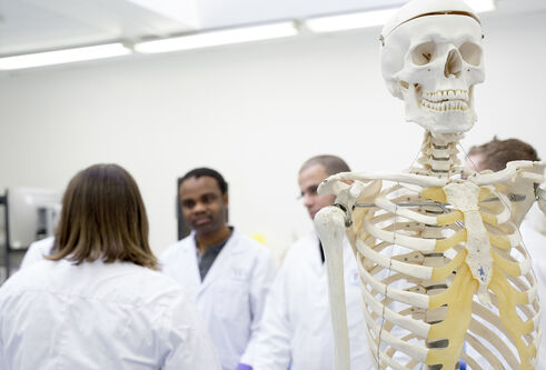 Anatomy and Human Identification courses | University of Dundee, UK