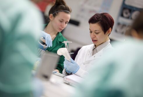 Anatomy and Human Identification courses | University of Dundee, UK