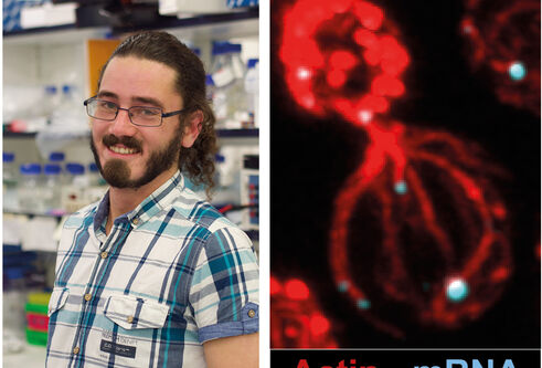 Dr Adrien Rousseau | University of Dundee, UK