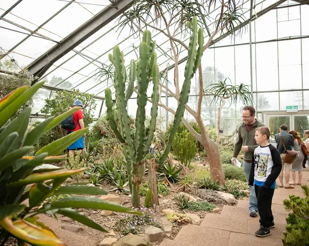 Areas to visit at the Botanic Garden | University of Dundee, UK