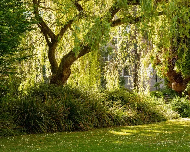 Green spaces in the city of Dundee | University of Dundee, UK