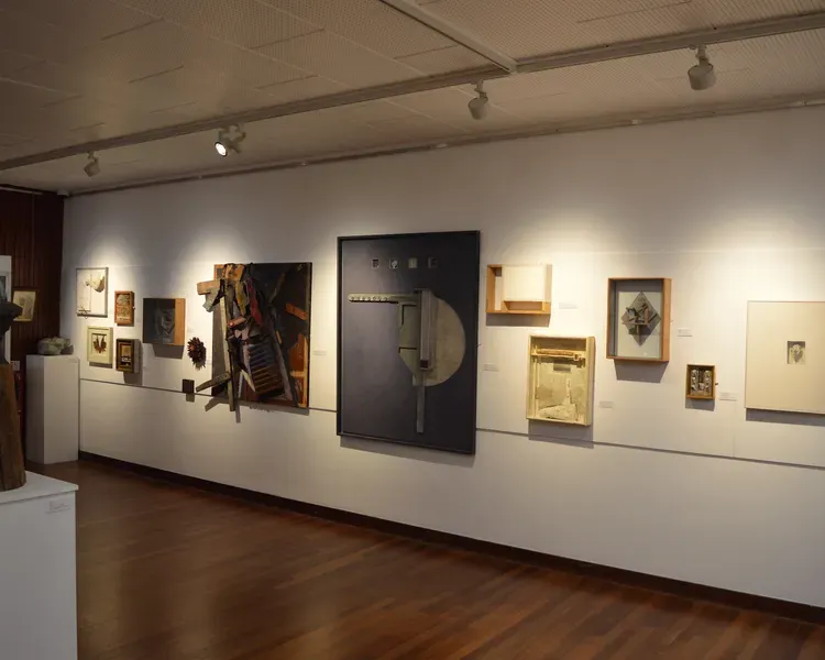 Visiting the University of Dundee Museums | University of Dundee, UK