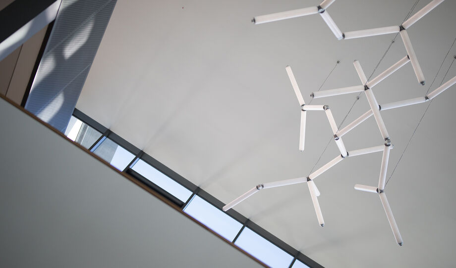 Research at the University of Dundee | University of Dundee