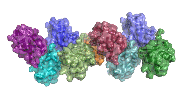 Professor Satpal Virdee | University of Dundee