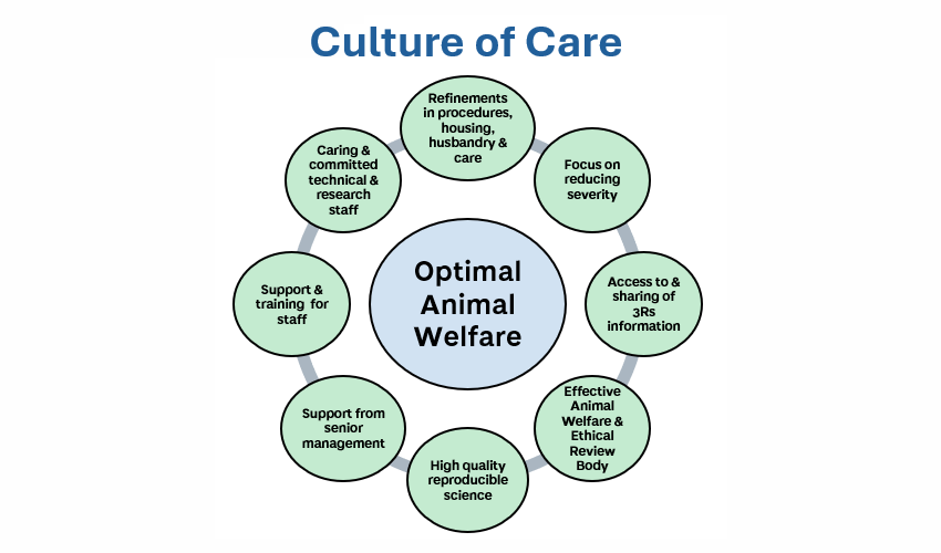 Our culture of care in animal research | University of Dundee, UK