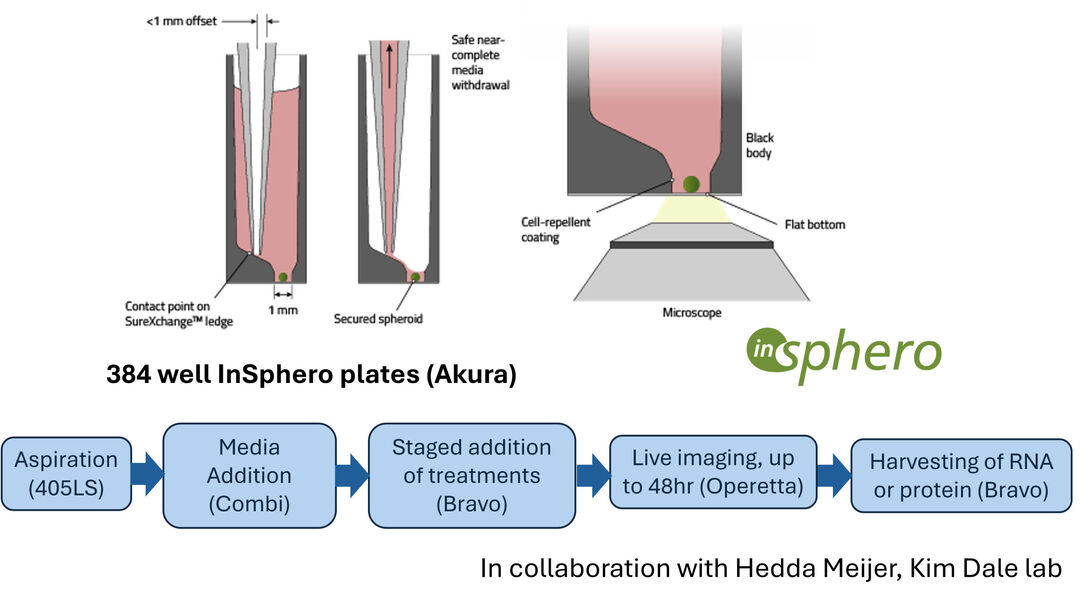 Complex models at NPSC | University of Dundee, UK