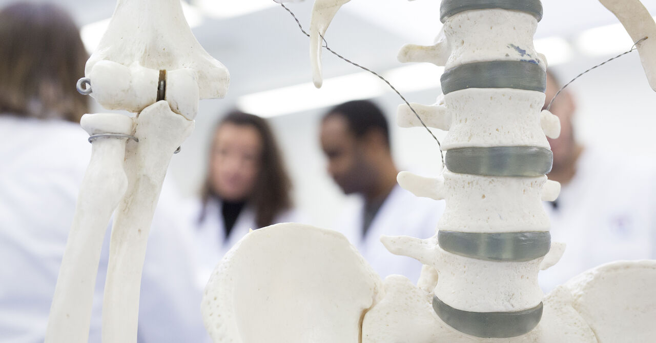 Centre for Anatomy and Human Identification | University of Dundee, UK