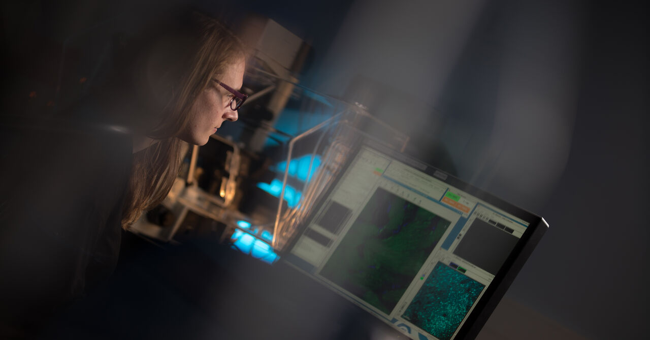 REF impact case studies | University of Dundee, UK