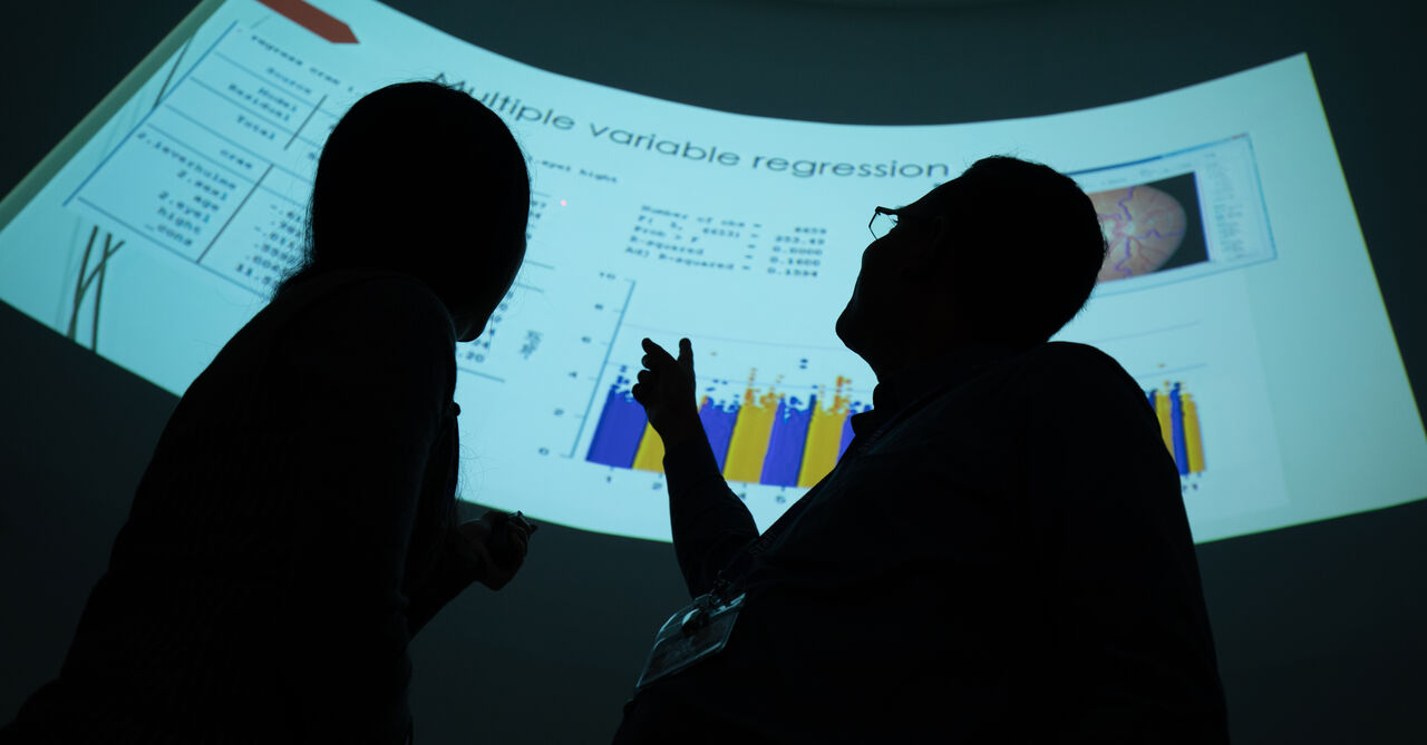 Division of Population Health and Genomics | University of Dundee, UK