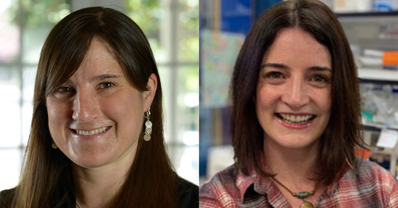 First funding for new group leaders in the School | University of ...