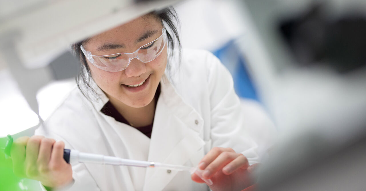 Find a PhD opportunity at the University of Dundee | University of ...