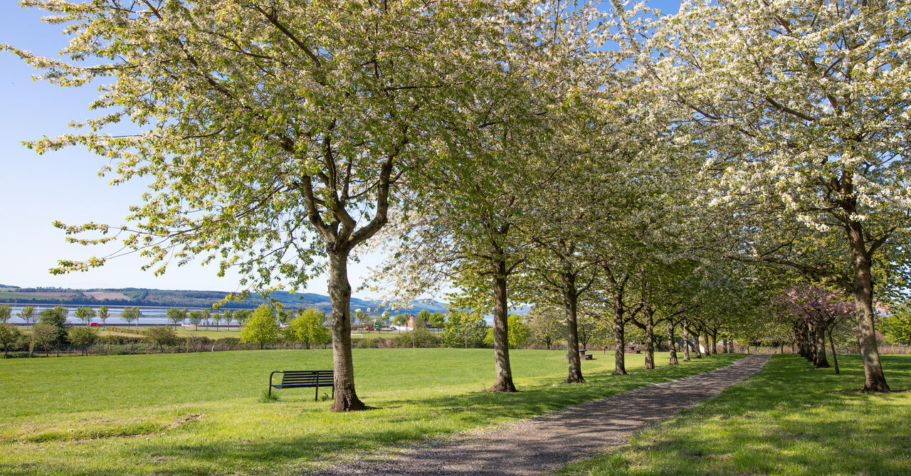 What is a Trusted Research Environment (TRE) | University of Dundee, UK