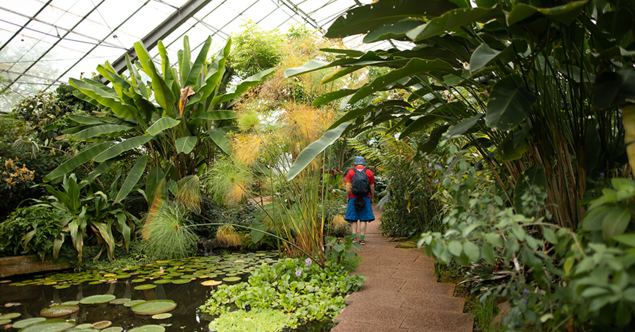 Visiting the Botanic Garden | University of Dundee, UK