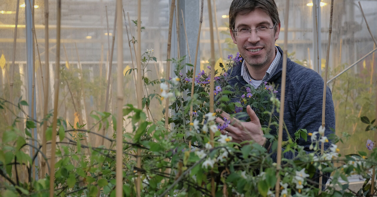 Professor Ingo Hein announced as Deputy Director of the National Potato ...