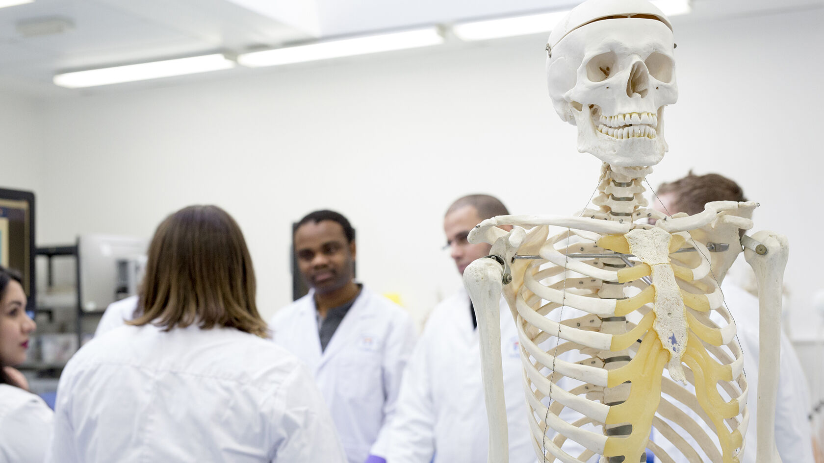 Fees and funding - Human Anatomy MSc | University of Dundee, UK