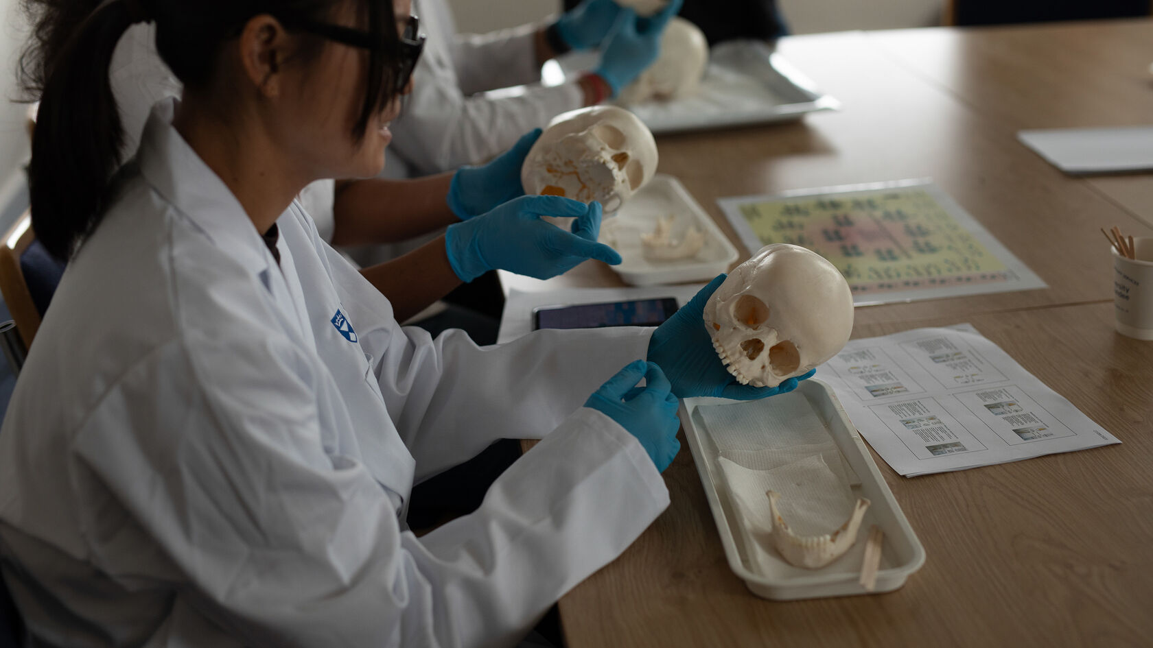 Forensic Odontology MFOdont | University of Dundee, UK